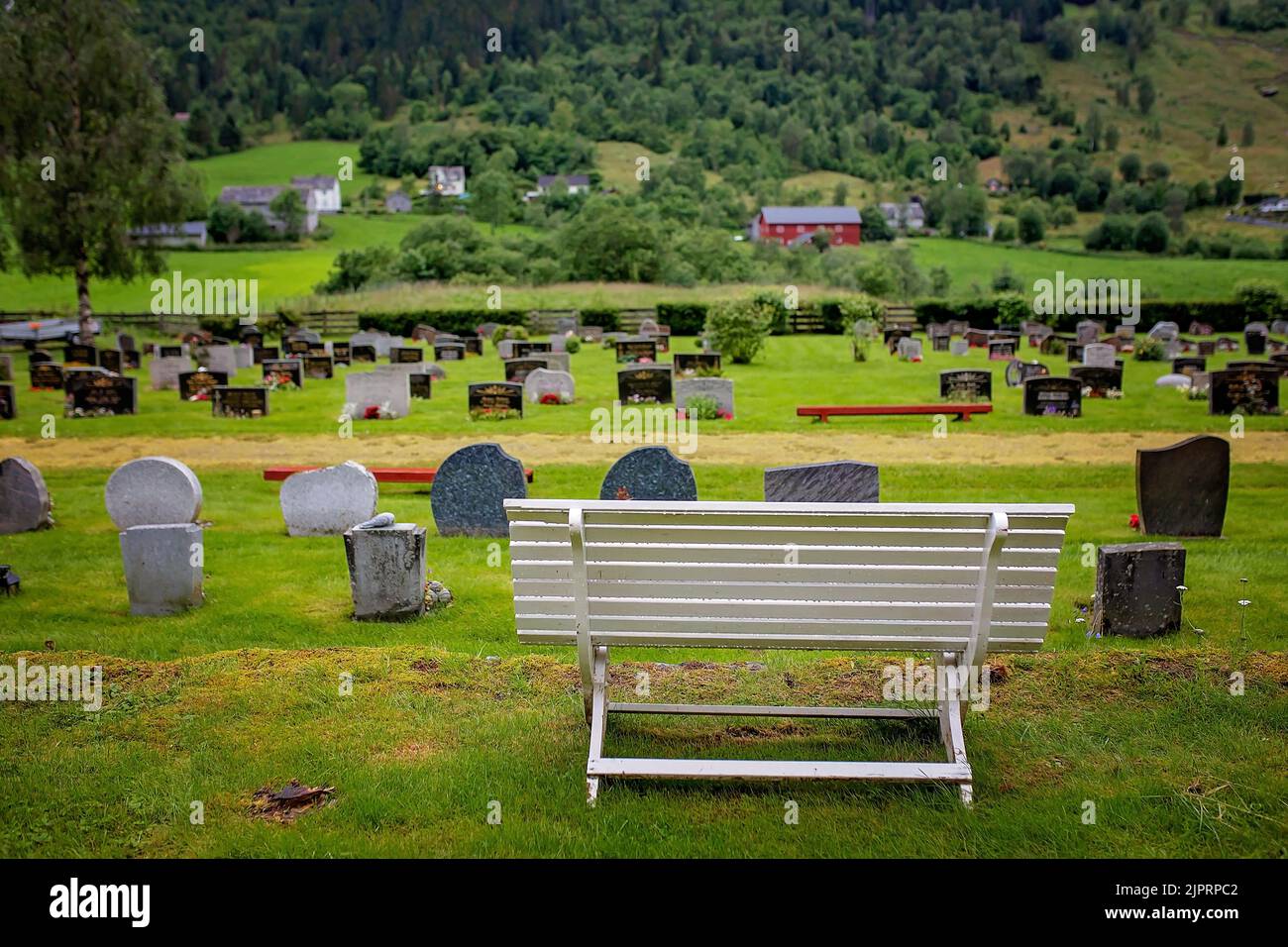 White bench on cemetery on a rainy day, Norway Stock Photo - Alamy