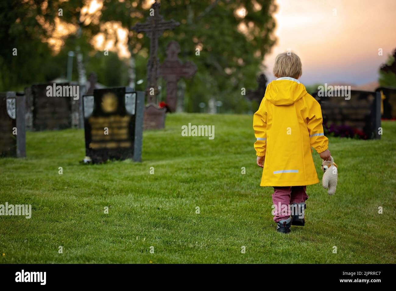 Sad little child, blond boy, standing in the rain on cemetery, sad ...