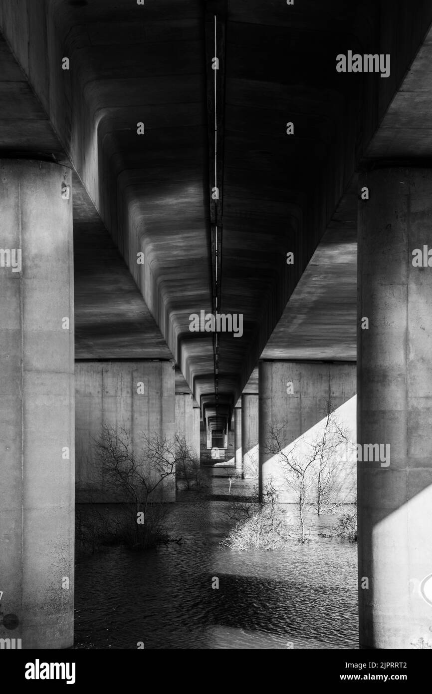 A vertical shot of an old long hallway during the day in grayscale ...