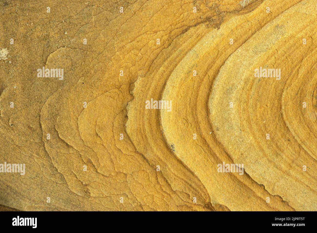 Geological forces have contorted and folded the beds of sandstone to ...