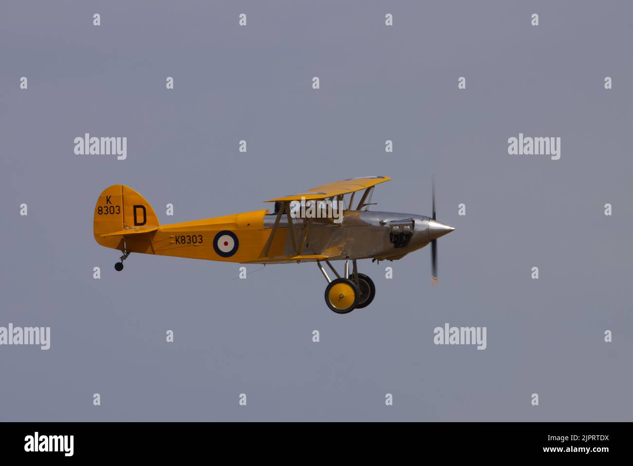 A yellow Isaacs Fury (replica 1935 Hawker Fury) aeroplane in flight ...