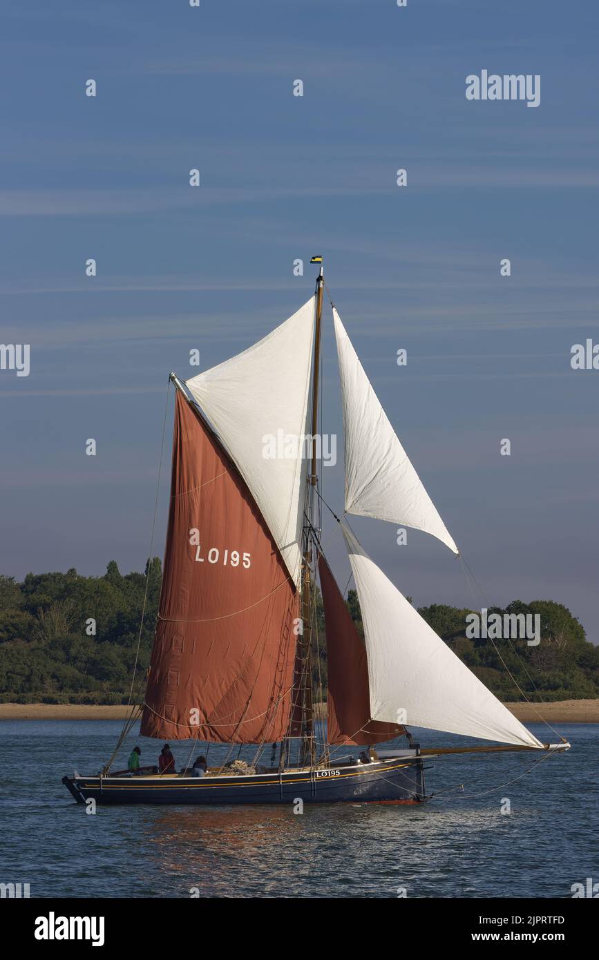 The bawley Gladys LO195 in full sail, Blackwater Estuary, Essex Stock ...
