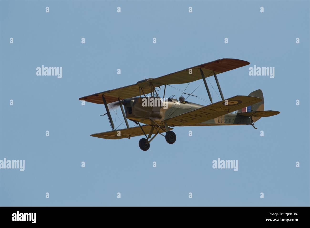 Dh 82b queen bee hi-res stock photography and images - Alamy