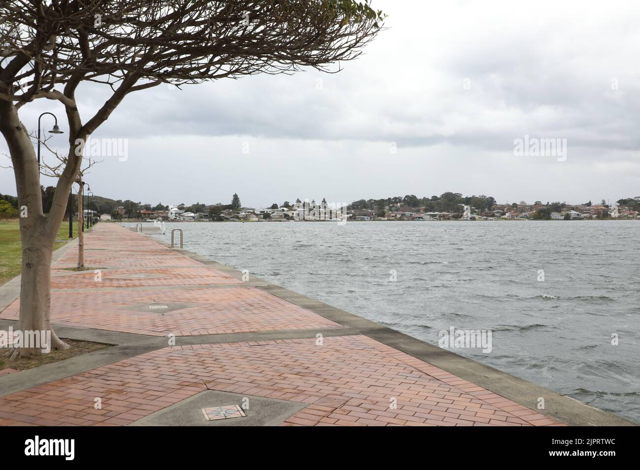 Primbee hi-res stock photography and images - Alamy