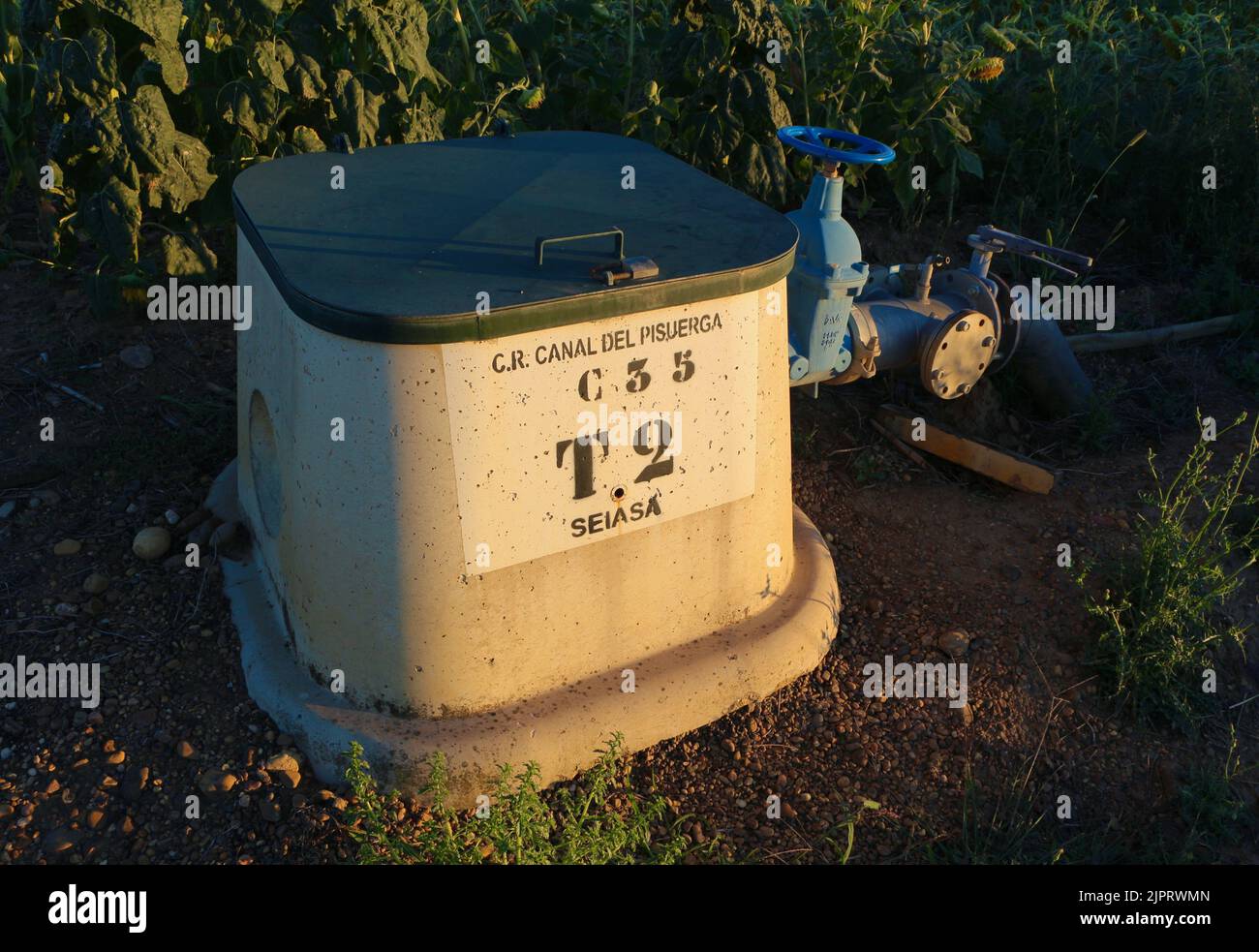 Pump for water irrigation from the Pisuerga Canal in evening sunlight ...