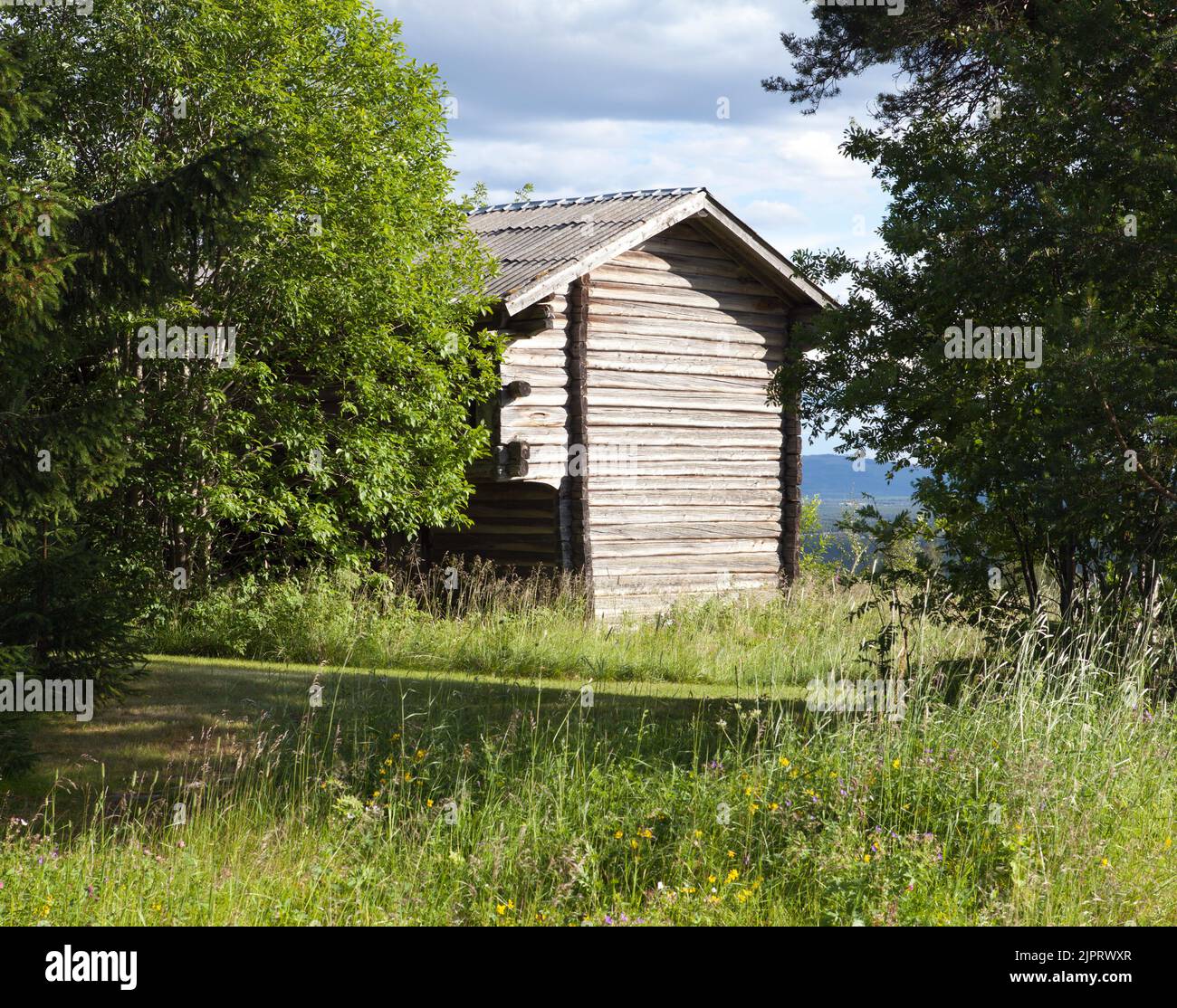 Wooden barns, log, and timber buildings in the farmland. Agriculture in ...