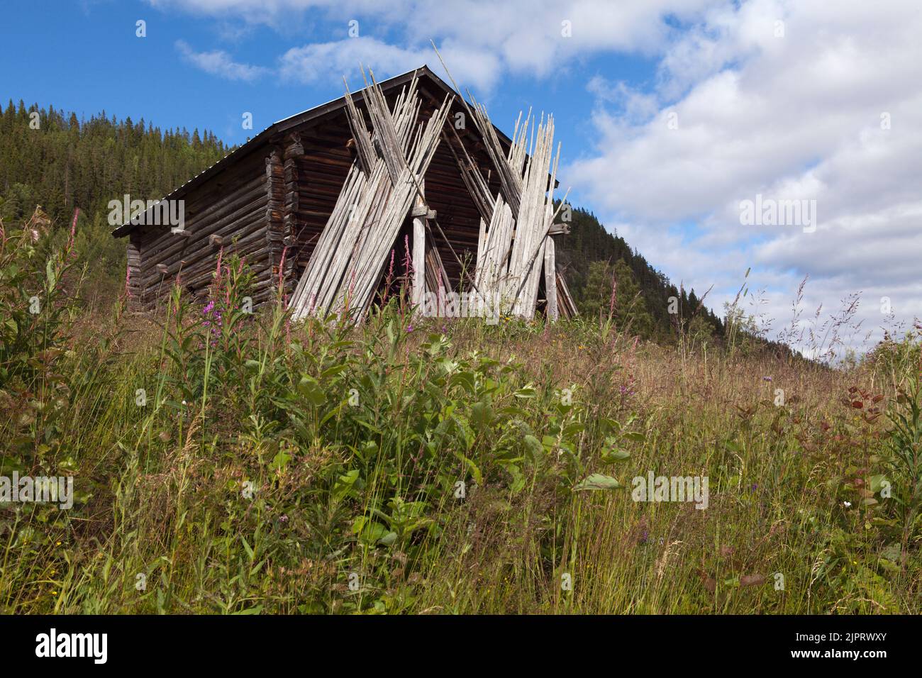 Wooden barns, log, and timber buildings in the farmland. Agriculture in ...