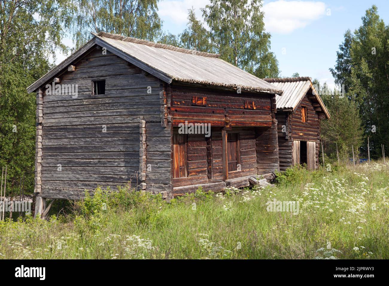 Wooden barns, log, and timber buildings in the farmland. Agriculture in the rural countryside ...