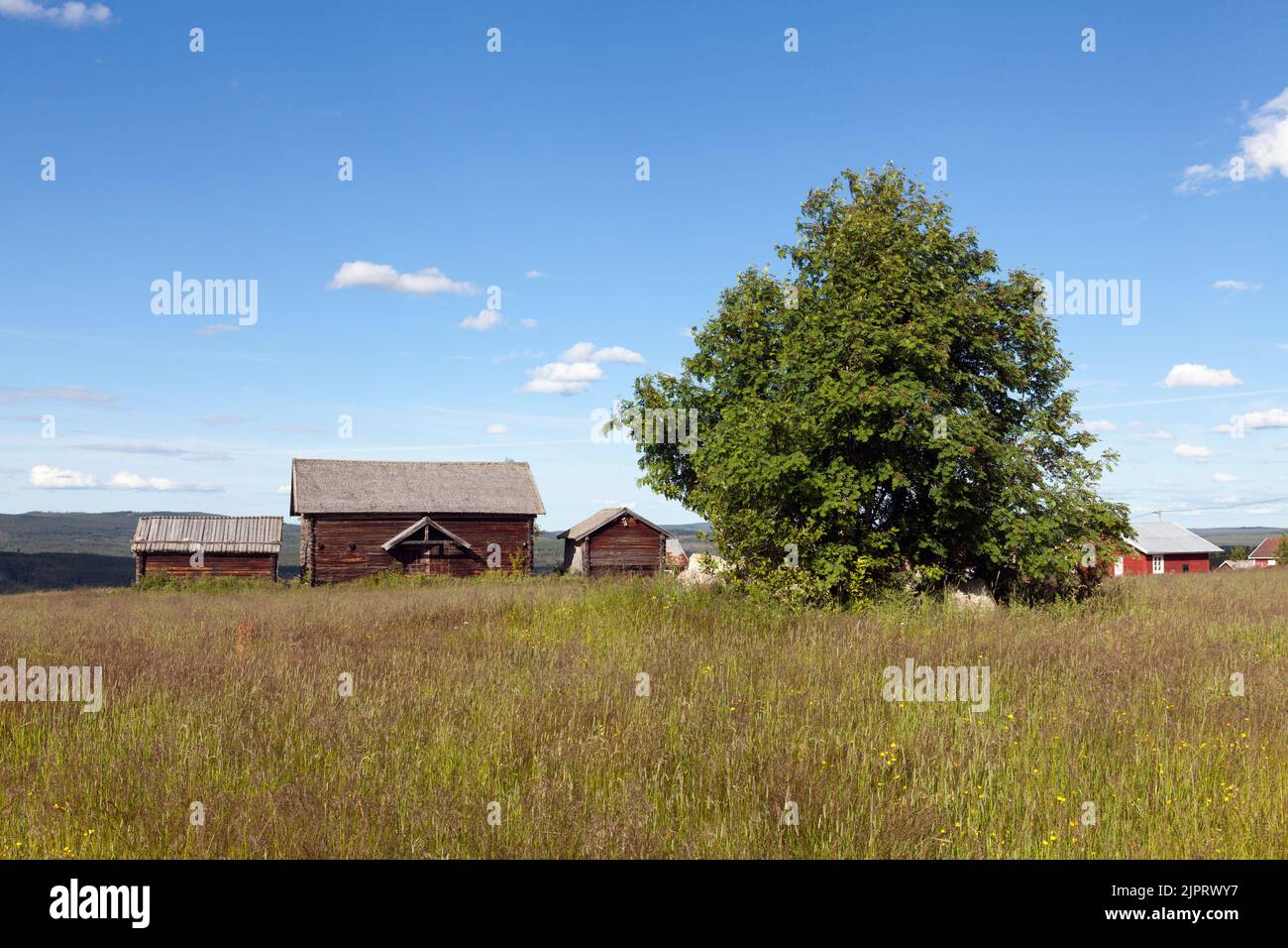 Wooden barns, log, and timber buildings in the farmland. Agriculture in ...