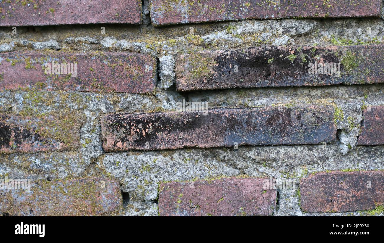 the walls of the house are damaged but still function even still ...