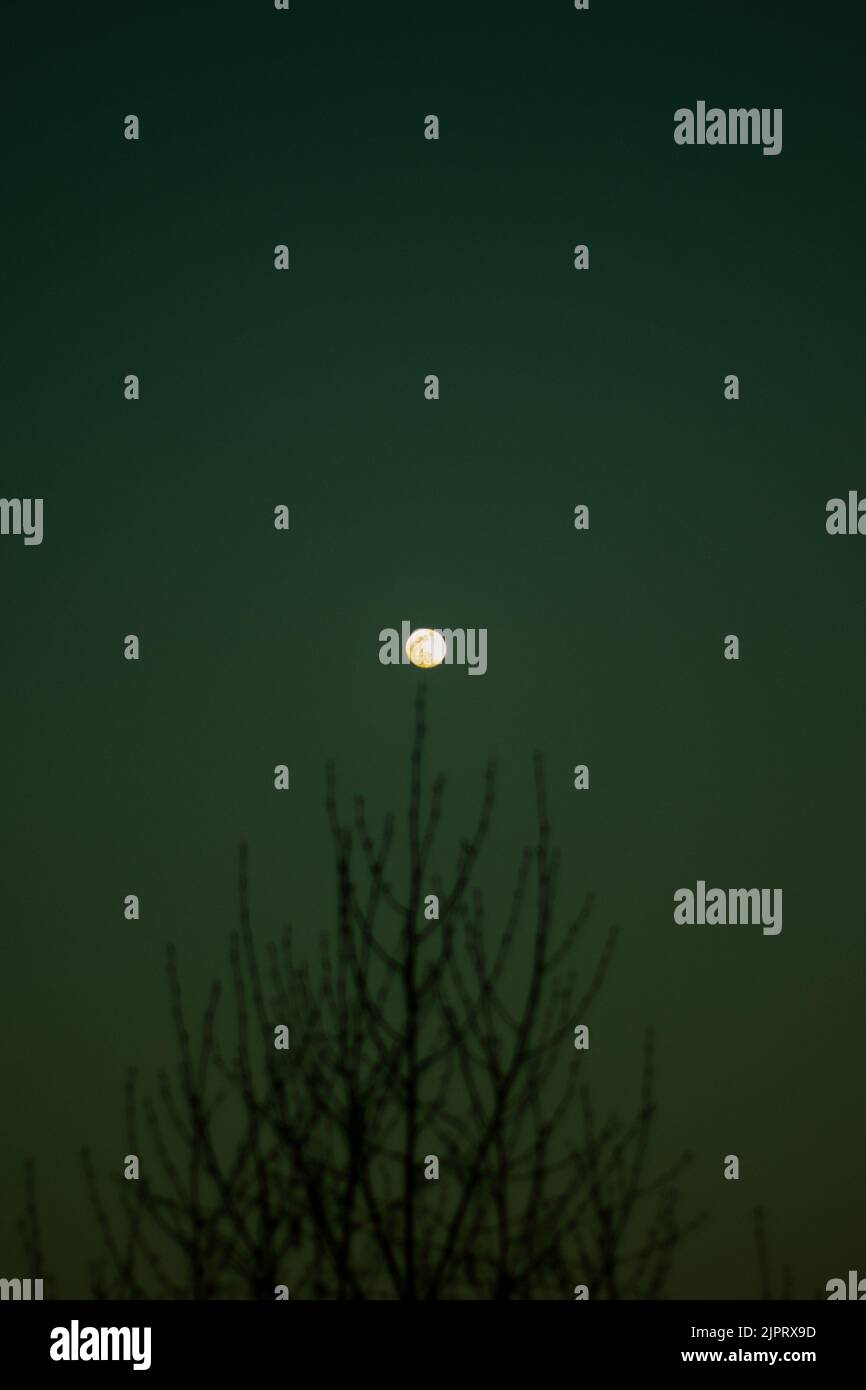 Green phases hi-res stock photography and images - Alamy