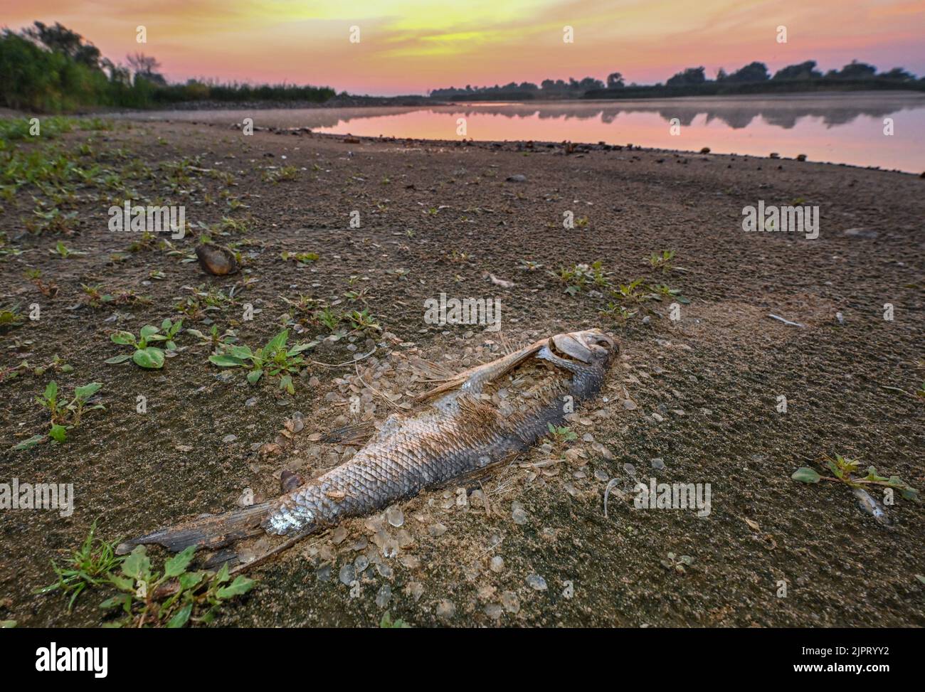 River oder disaster hi-res stock photography and images - Alamy