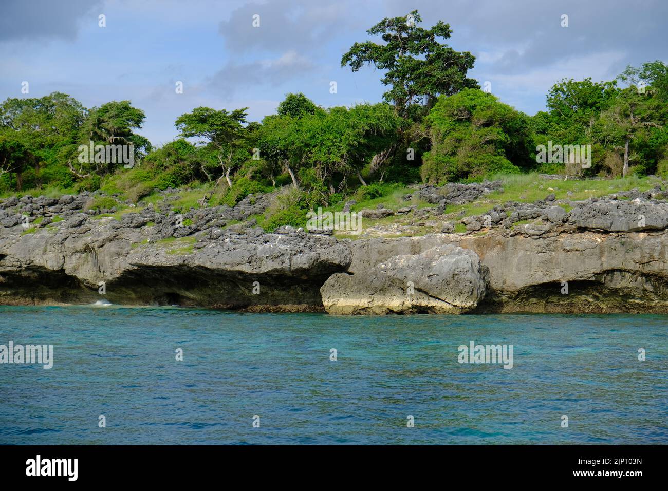 Indonesia Alor Island - Rocky coastal landscape with trees Stock Photo ...