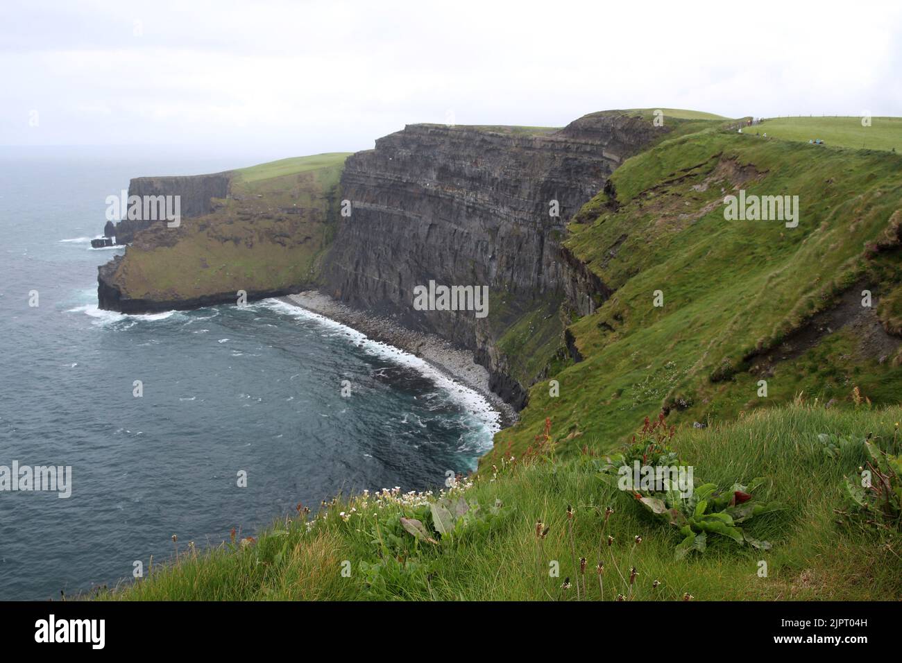 Ireland, Cliffs of Moher in County Clare Stock Photo - Alamy