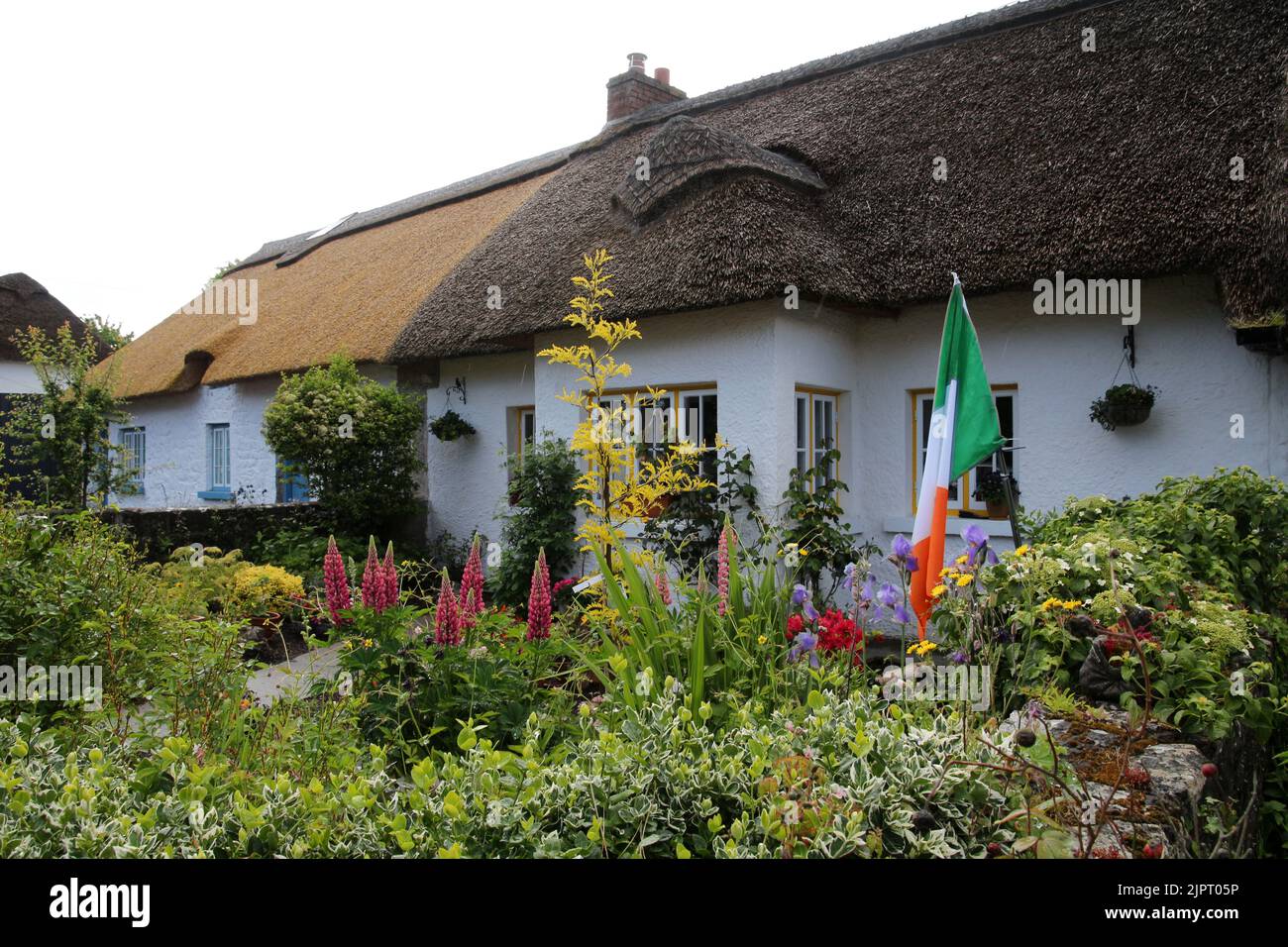 Irish cottages house in Adare, County Limerick, Ireland Stock Photo - Alamy