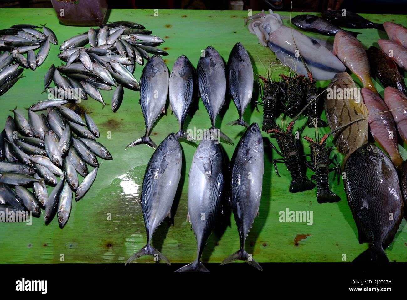 Indonesia Kupang - Local fish market stall Tuna Stock Photo - Alamy