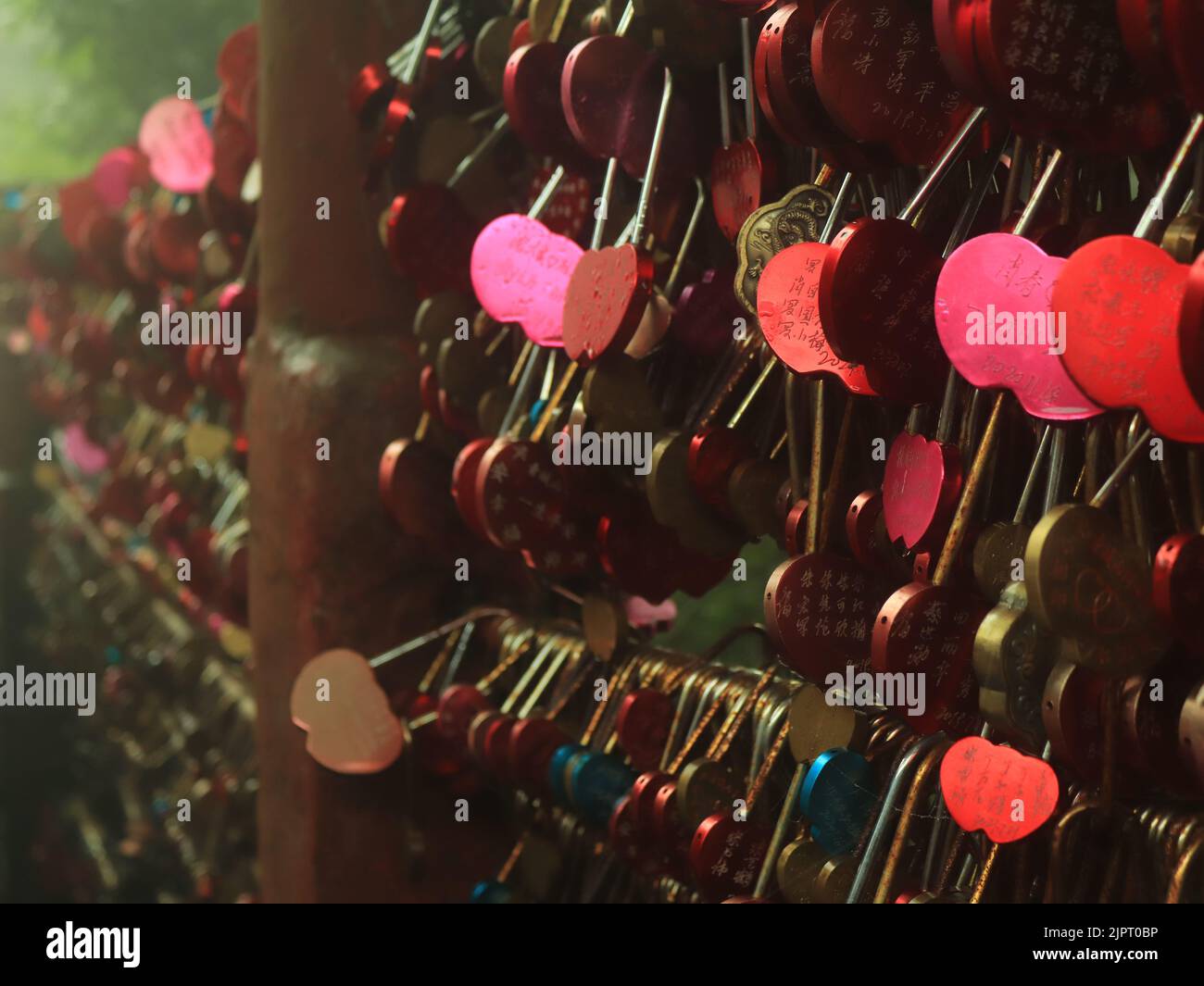 A closeup side view of a line of love locks on the bridge concept ...