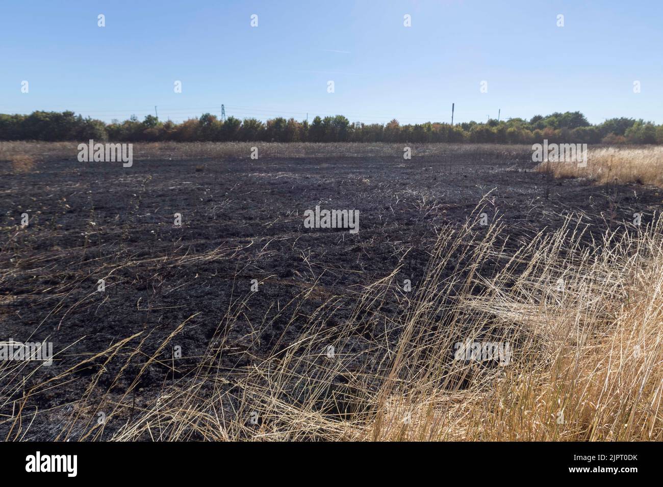 A grass fire broke out on Lambs Lane South in Rainham, London. Ten fire ...