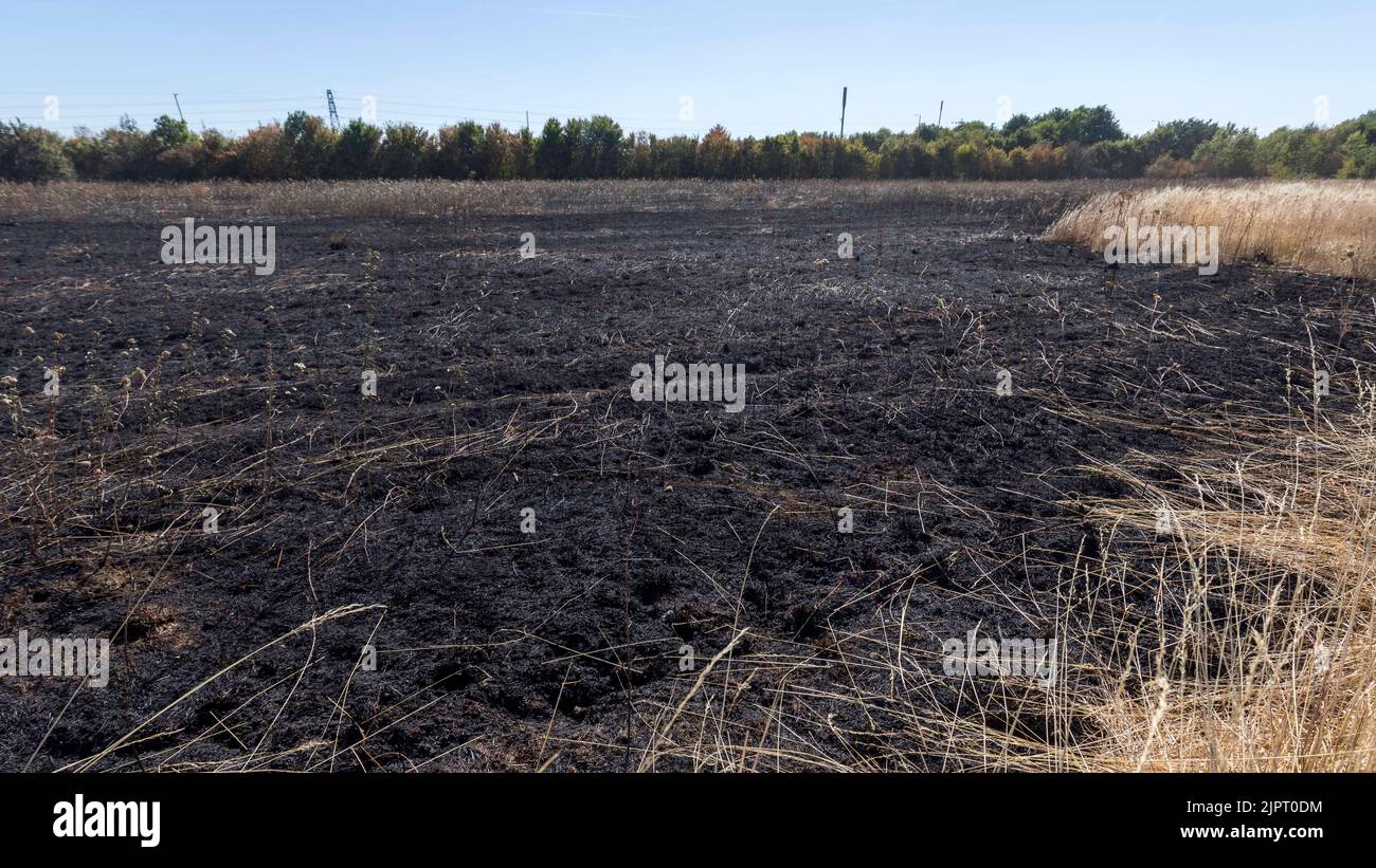 A grass fire broke out on Lambs Lane South in Rainham, London. Ten fire ...