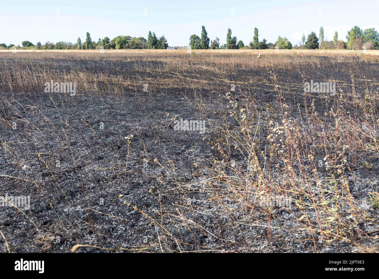 London grassfire hi-res stock photography and images - Alamy