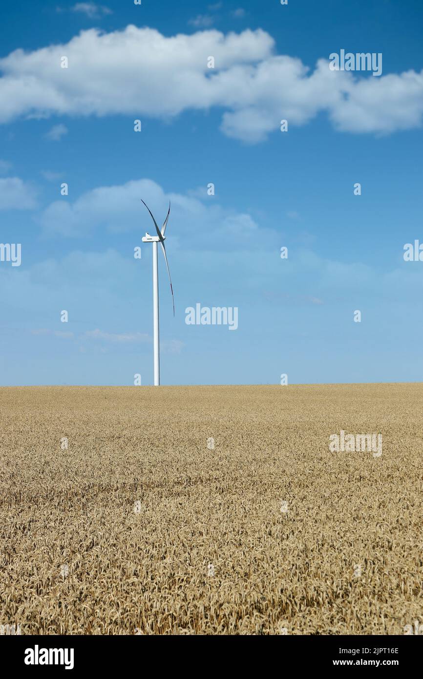 Wind turbine on wheat field hi-res stock photography and images - Alamy