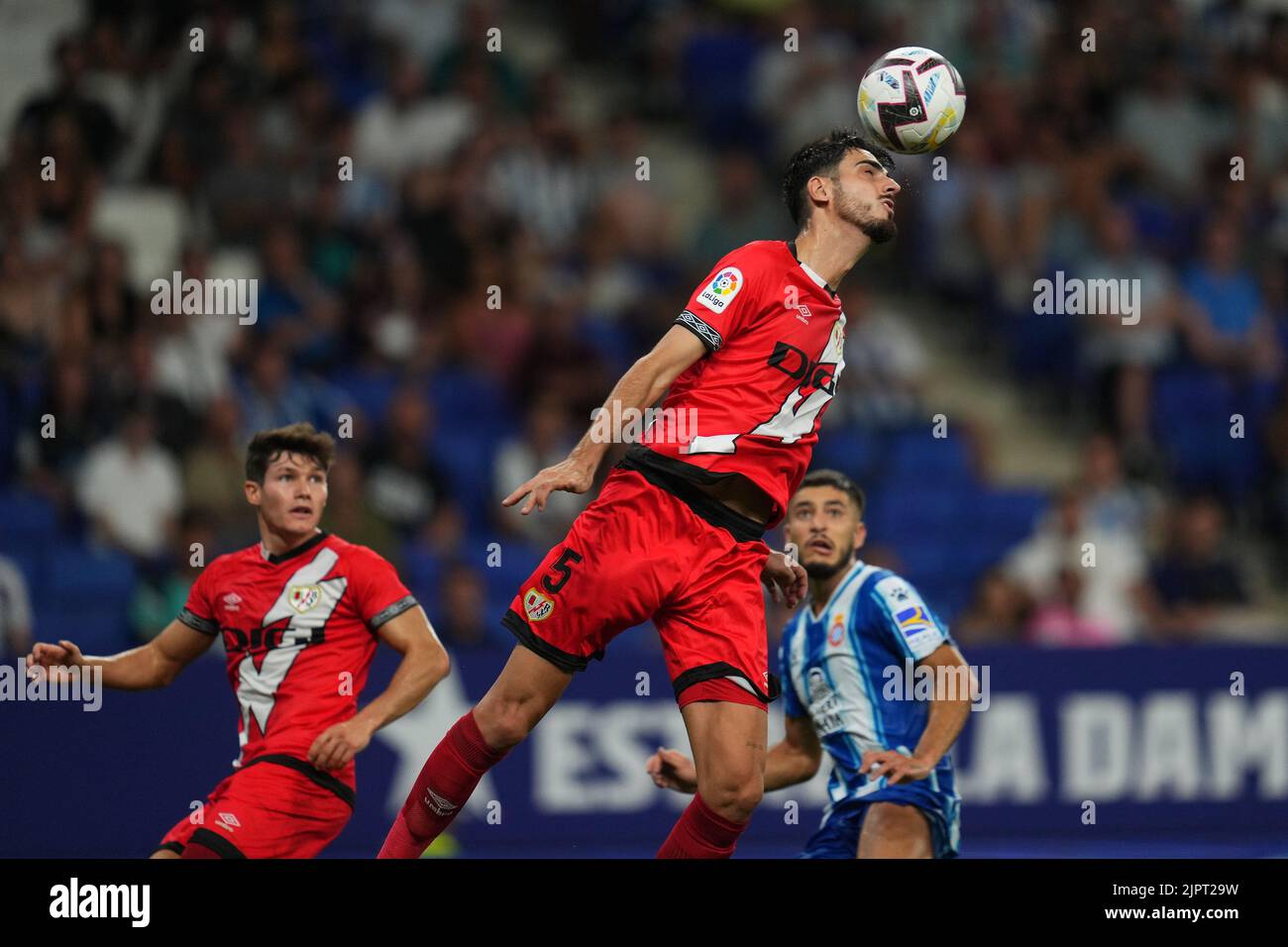 Alejandro catena hi-res stock photography and images - Alamy