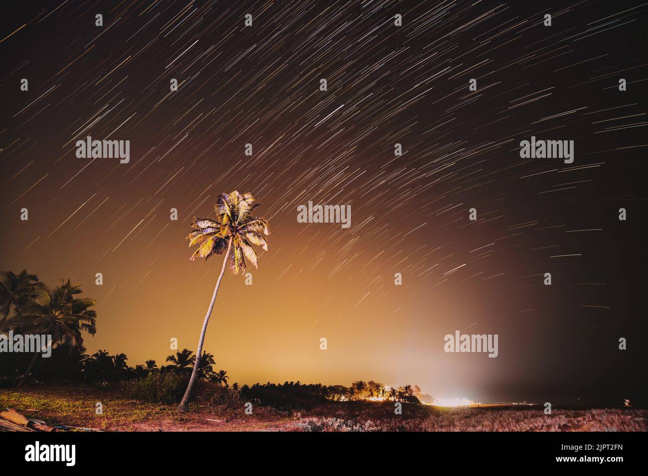 Concept Of Tropical Island. 5k . Night Starry Sky Over Tropical Beach ...