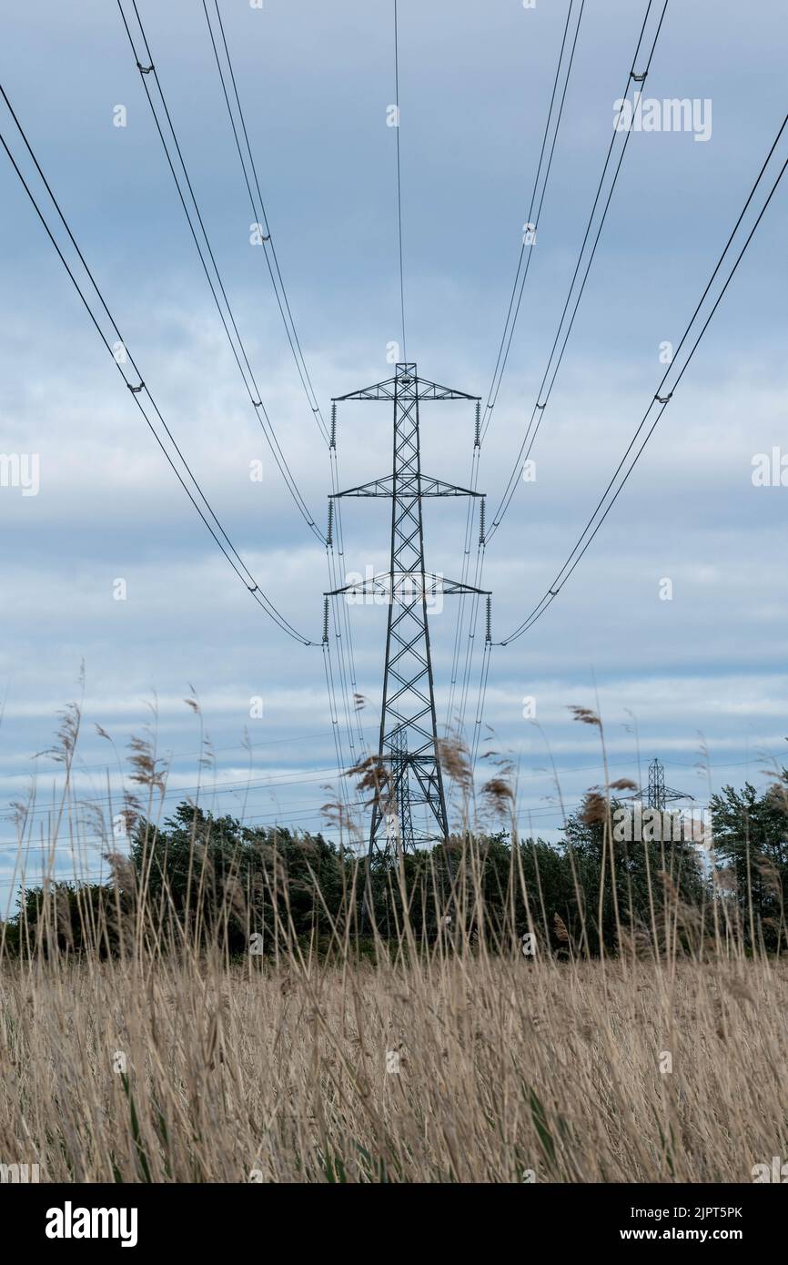 A pylon in South Wales. Uk Stock Photo - Alamy