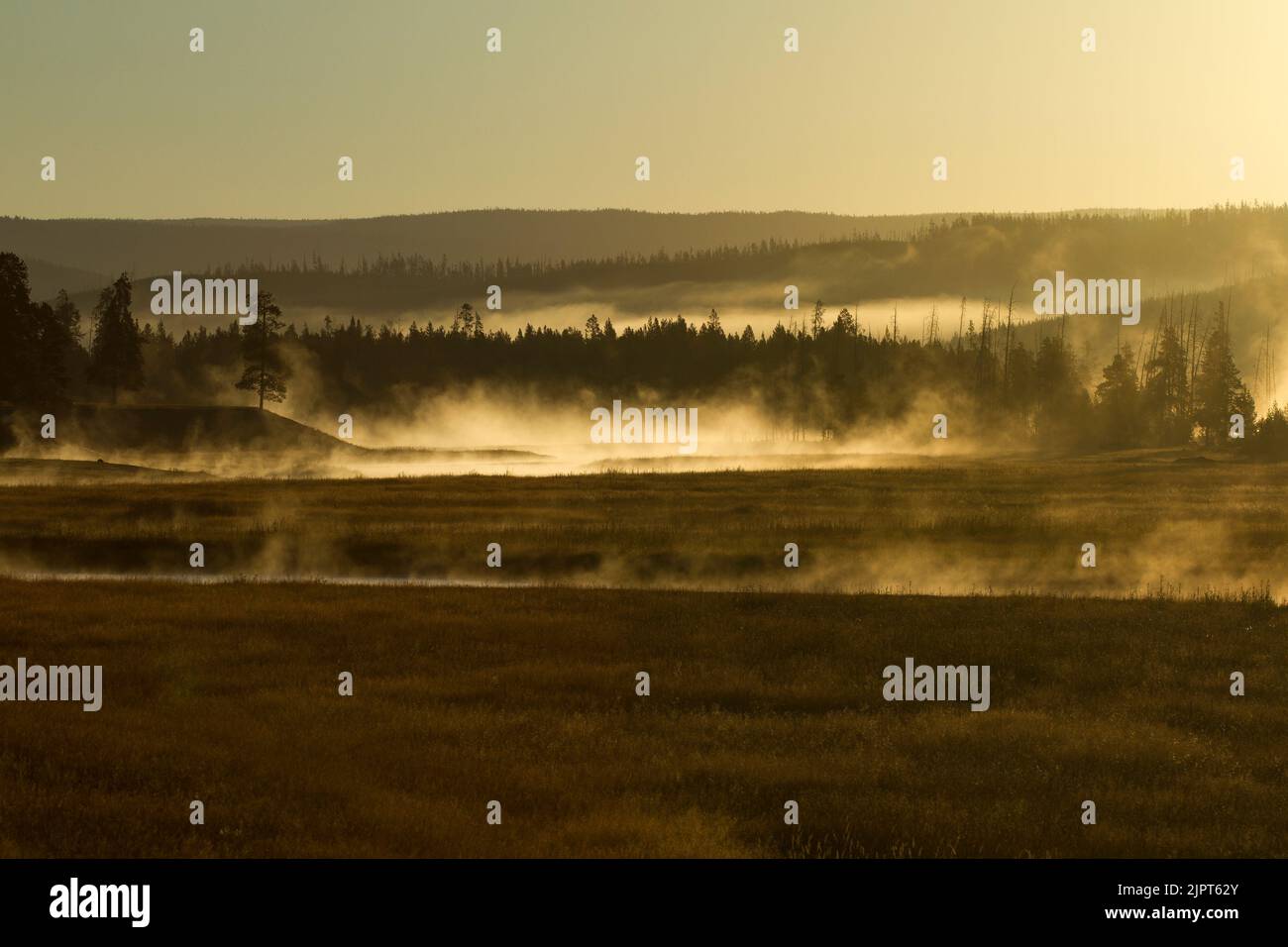 Morning mist on the Madison River Stock Photo - Alamy