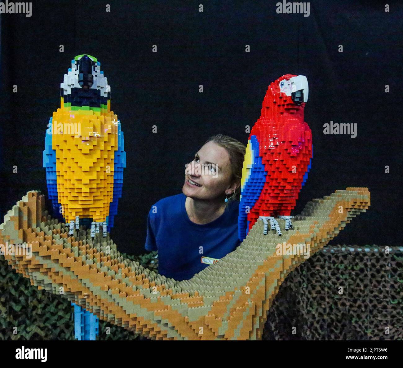 Space themed lego sculptures hi-res stock photography and images - Alamy
