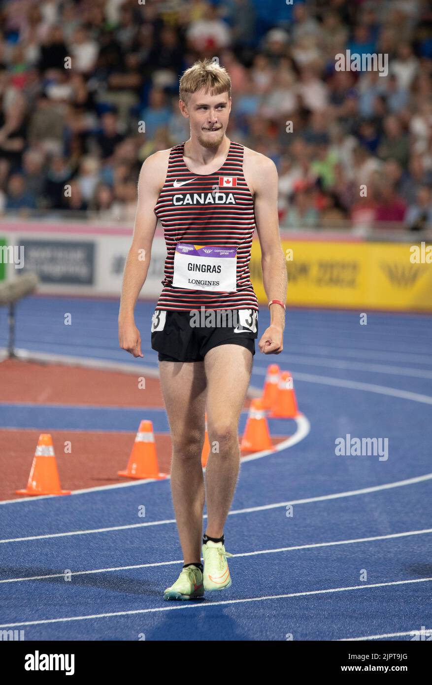 Gingras hi-res stock photography and images - Alamy