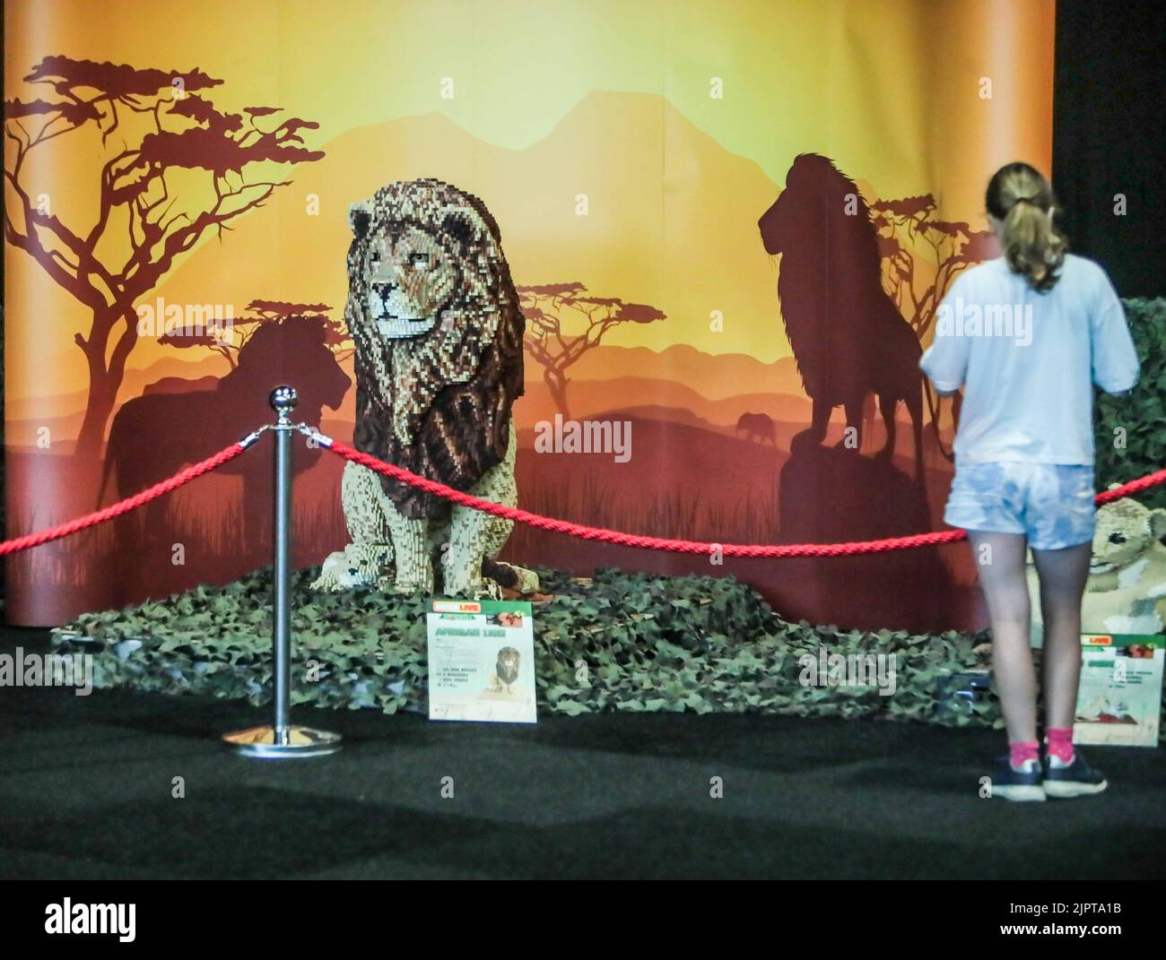 London 20 August 2022 An interactive fun and educational day out for ...