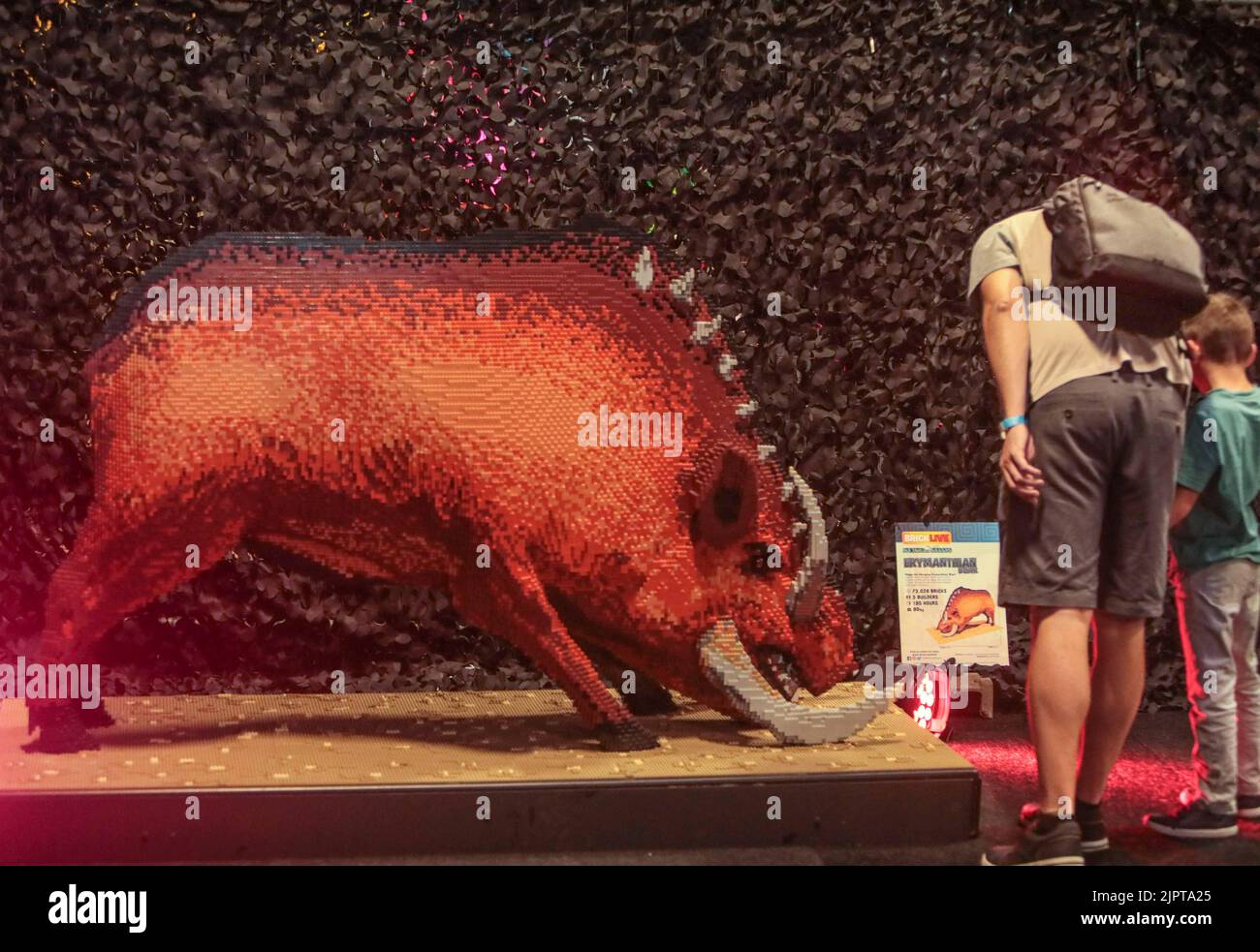 London 20 August 2022 An interactive fun and educational day out for ...