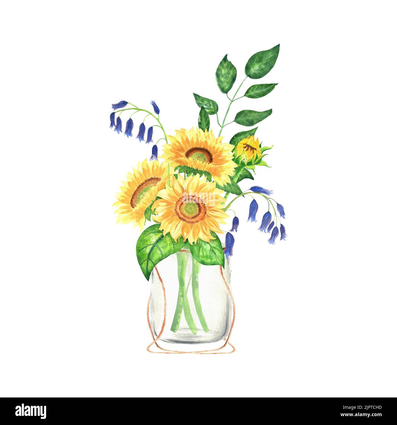 Glass Vase Drawing