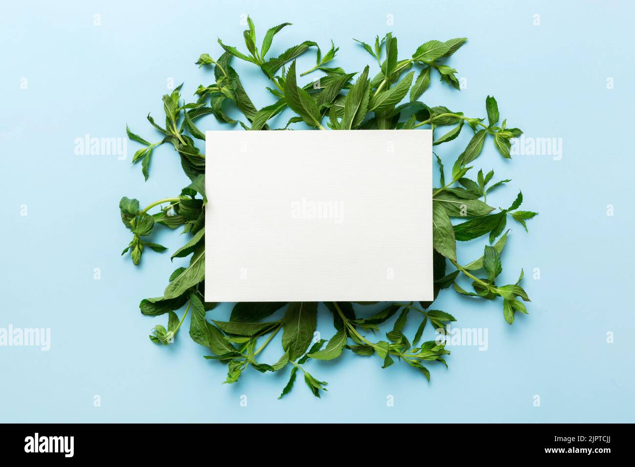 Wreath frame made of empty paper blank with space for text and mint ...