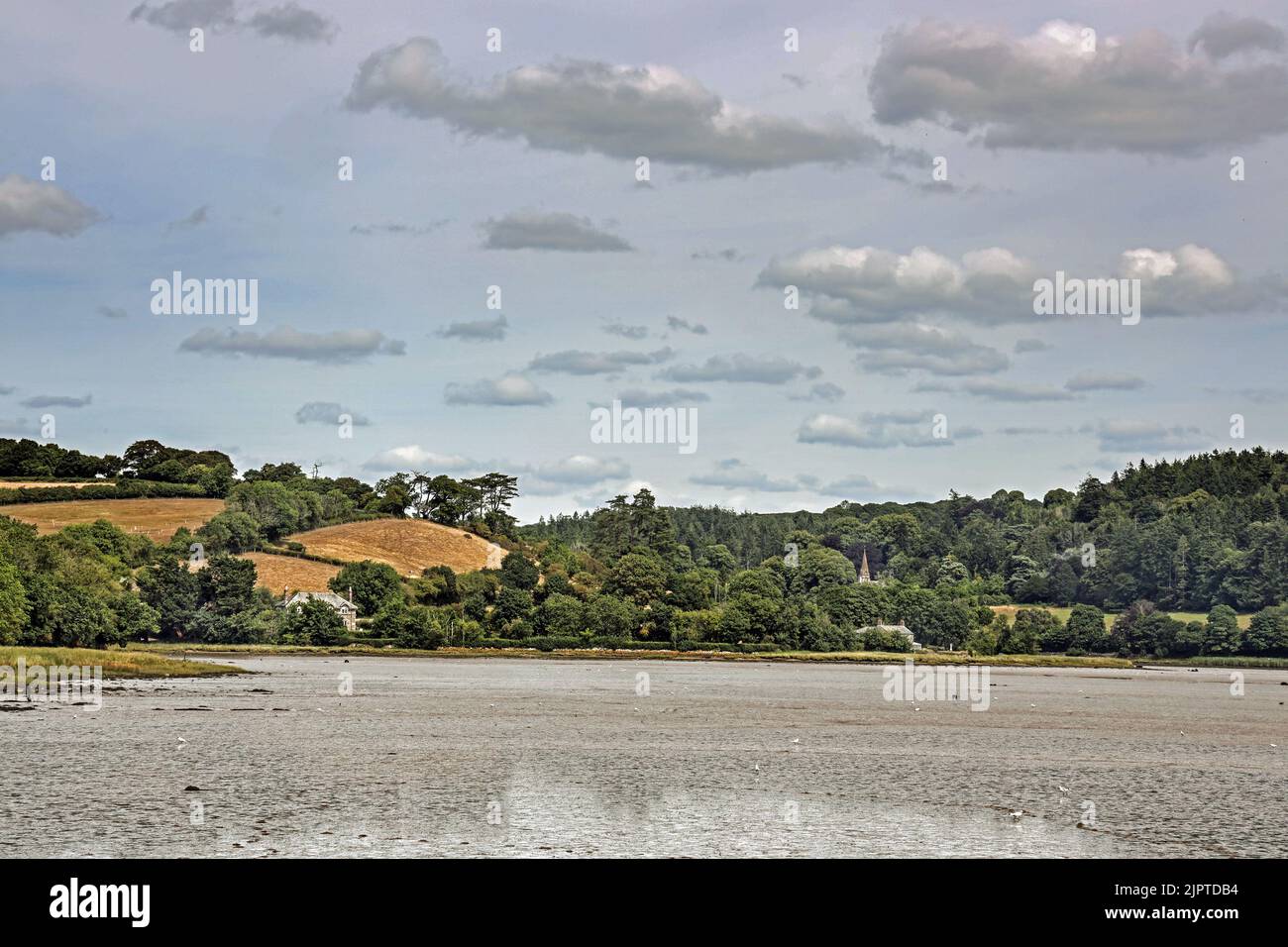 The banks of the River Tavy seen from the quayside at Bere Ferrers ...