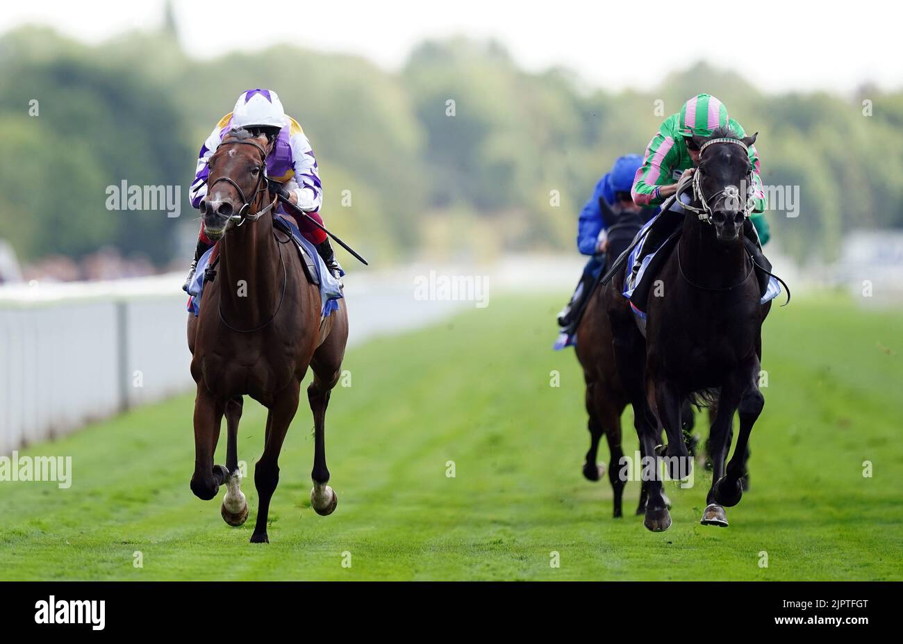 Kinross horse 2022 hi-res stock photography and images - Alamy