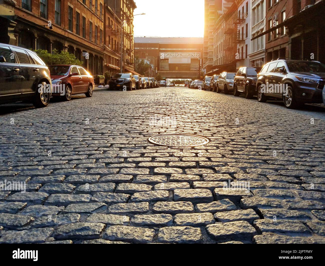 Old cobblestone street with cars parked along the curb in the Tribeca ...