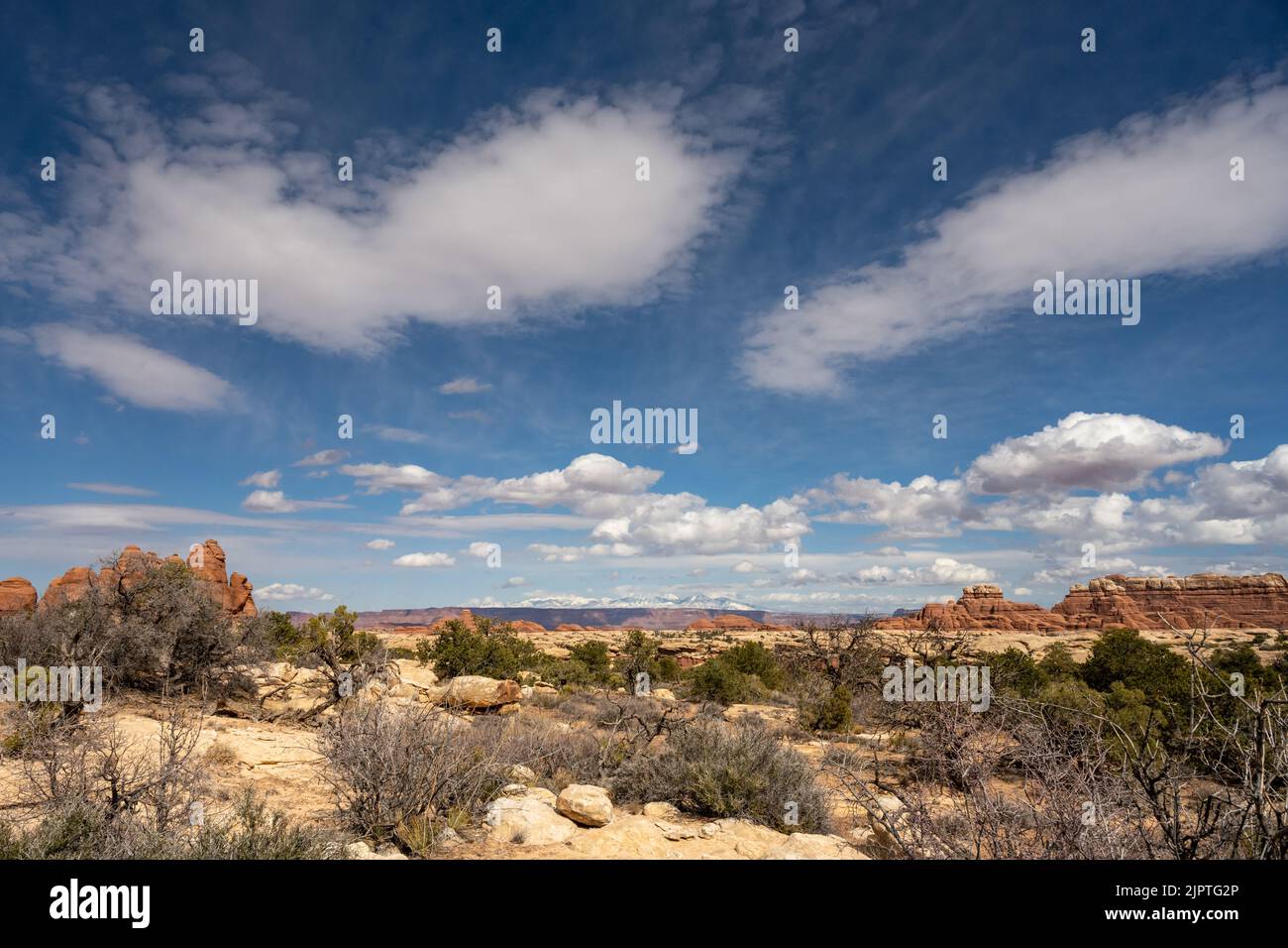Sweeping View of Puffy Clouds Over The Needles in Canyonlands National ...