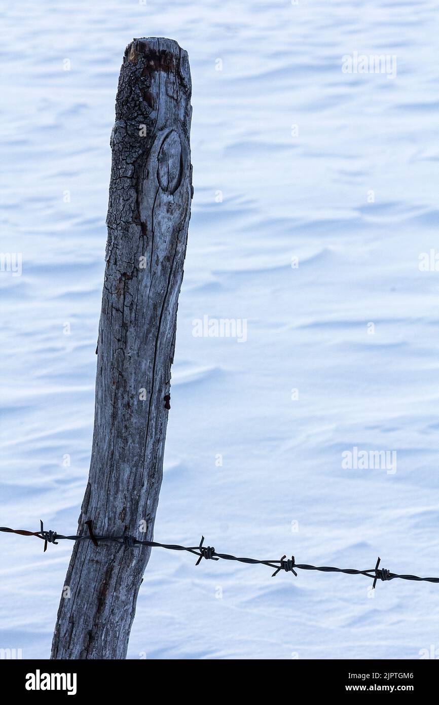 The vertical view of barbed wire attached to a wooden pole against the ...