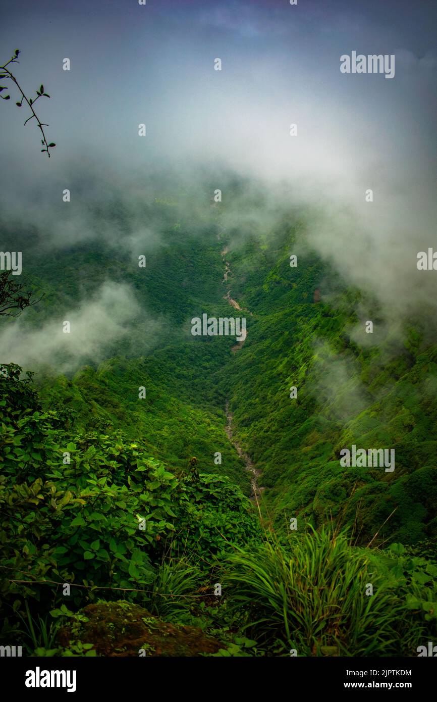 A scenic view of green grass and trees on a mountain under blue sky ...