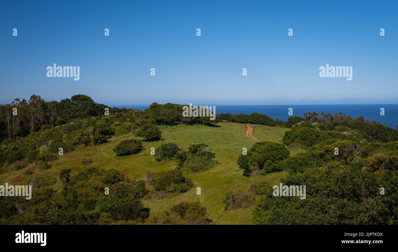 A scenic view of green grass and trees on a mountain under blue sky ...