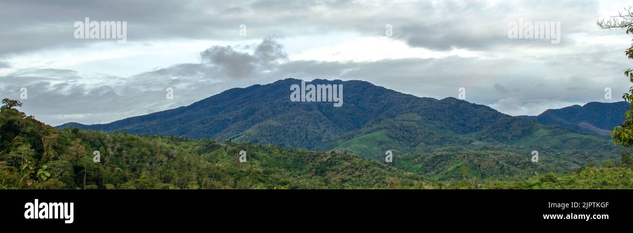 Aerial view of tropical forest, Aceh, Indonesia Stock Photo - Alamy