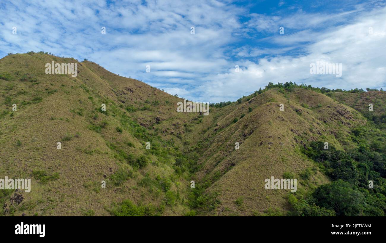 An aerial photo of a hill with green and shady trees, in the province ...