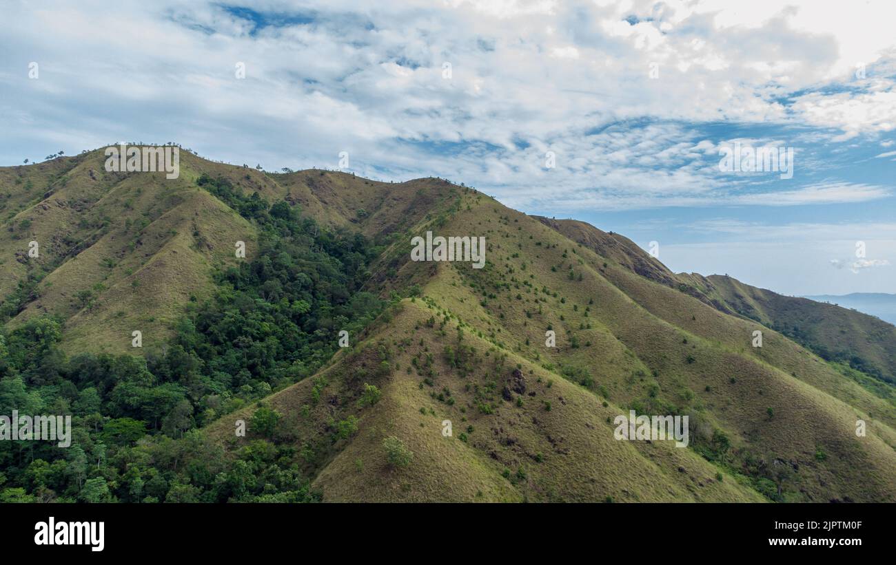 An aerial photo of a hill with green and shady trees, in the province ...