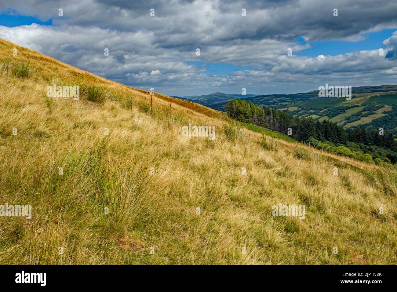 Across the sloping hillside of Tor y Foel to Sugarloaf in the distance ...