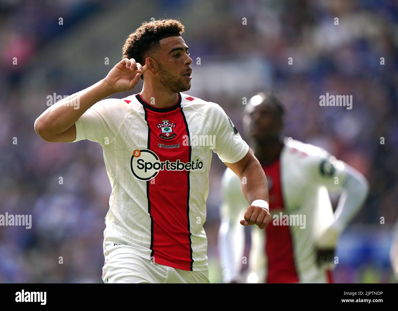 Southamptons che adams celebrates scoring hi-res stock photography and ...