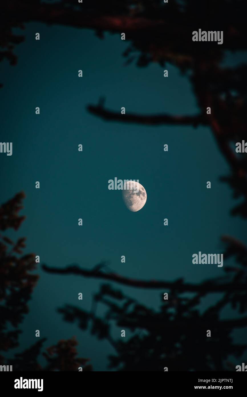 A half moon on the night sky Stock Photo - Alamy