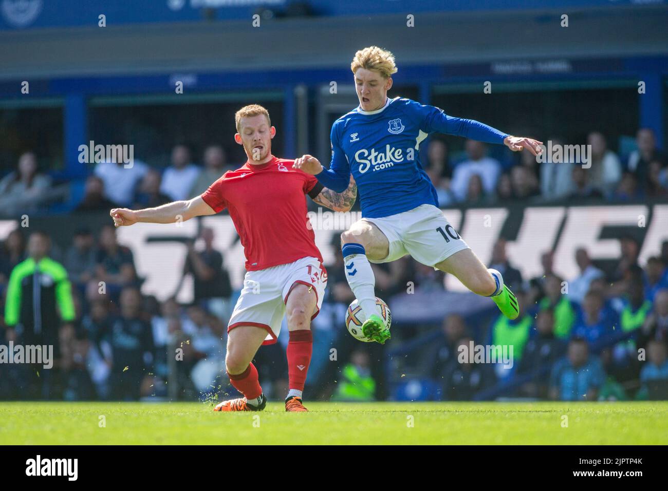 Lewis O’Brien #14 of Nottingham Forest battles with Everton #10 Anthony ...