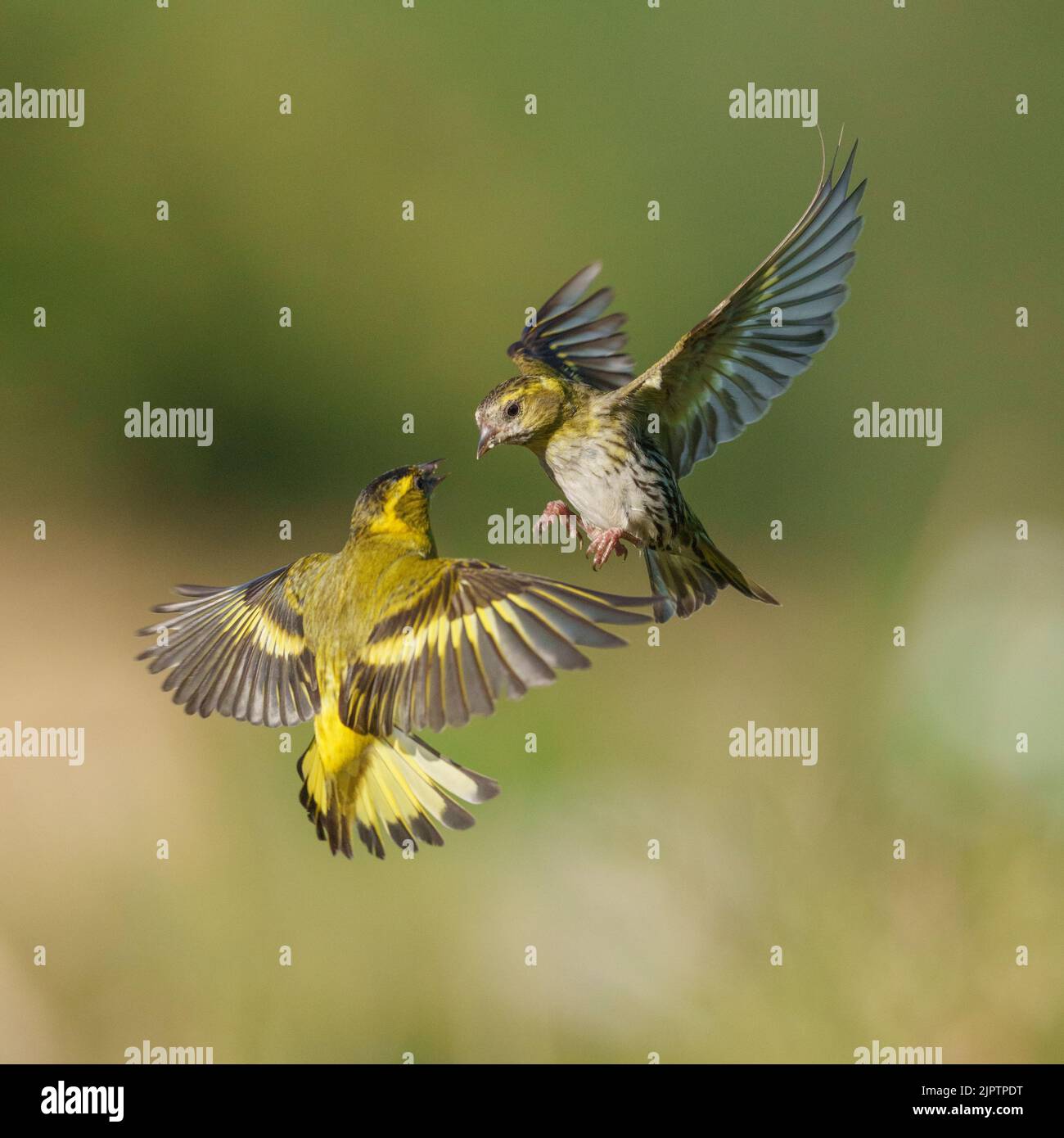 Station noise reduction hi-res stock photography and images - Alamy